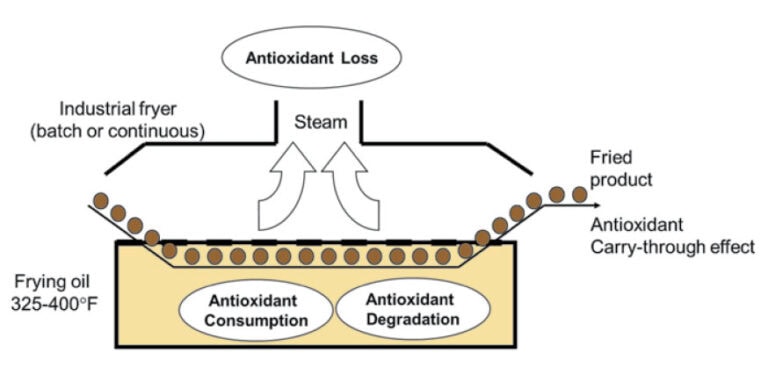 Enhancing oxidative stability and shelf life of frying oils with ...