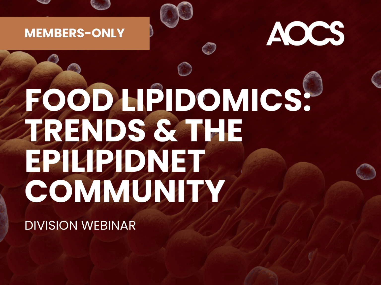 Building Predictive Models for Lipidomics