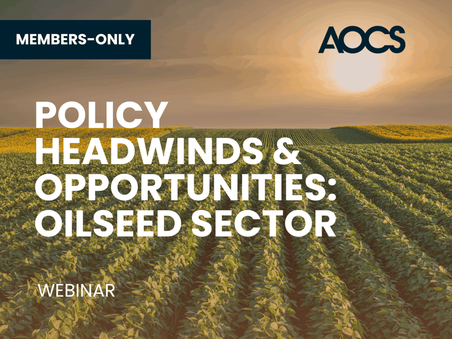 Solvent Extraction with Tim Kemper – AOCS